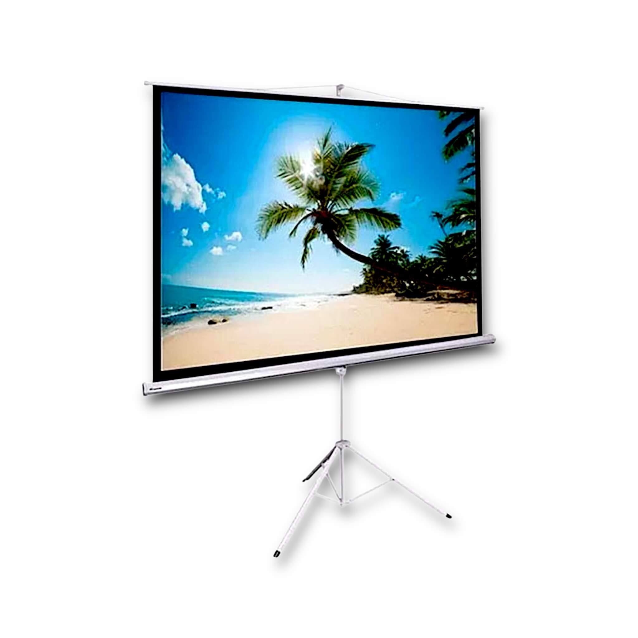 High-Quality Projector Screens | xStore in Qatar